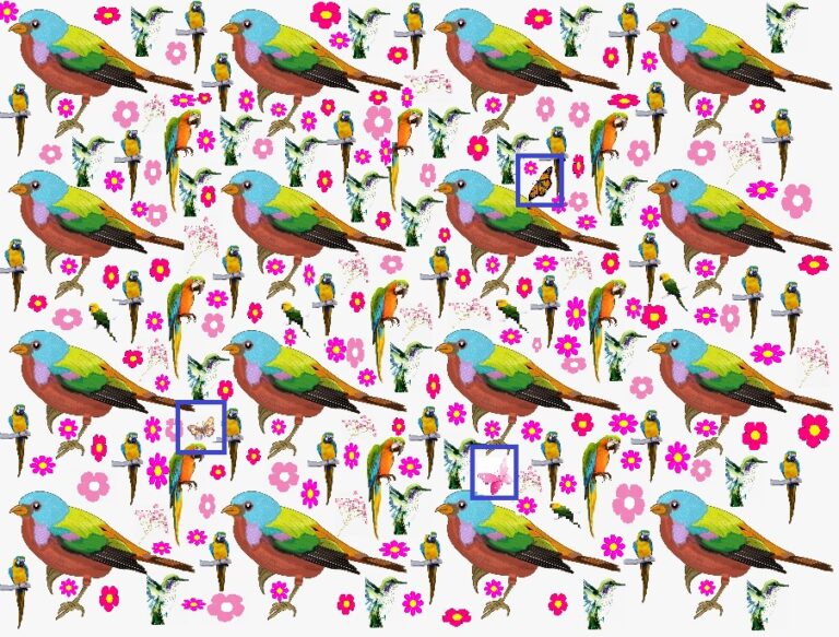 95% People Fail To Find All 3 Hidden Butterflies In This Picture ...